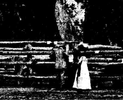 Showground – Gilgandra Show Society