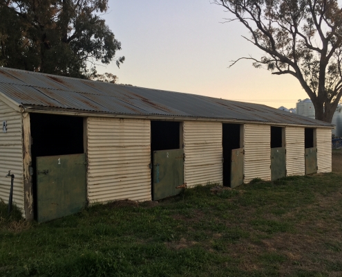 Horse Stall Reservations – Gilgandra Show Society
